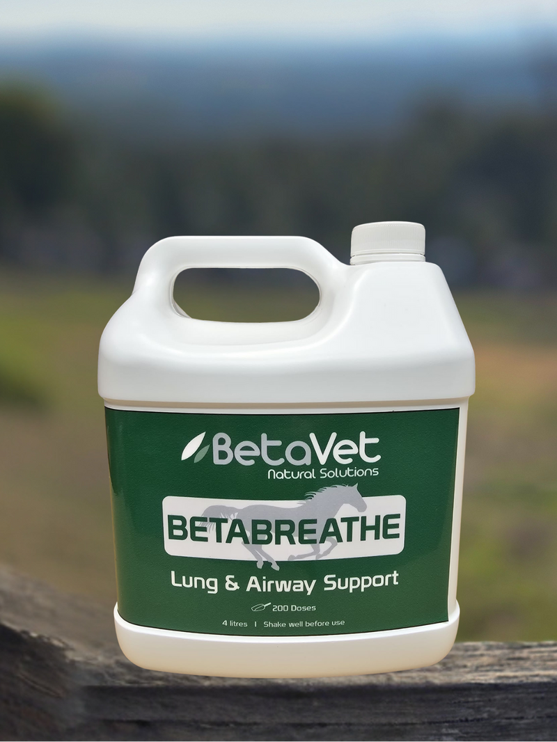 BetaVet NZ | Equine Herbal Supplements online