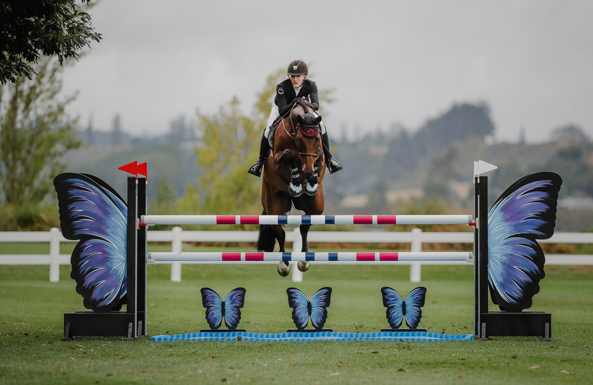 Horse Performance Supplements | Electrolyte Supplements for Horses