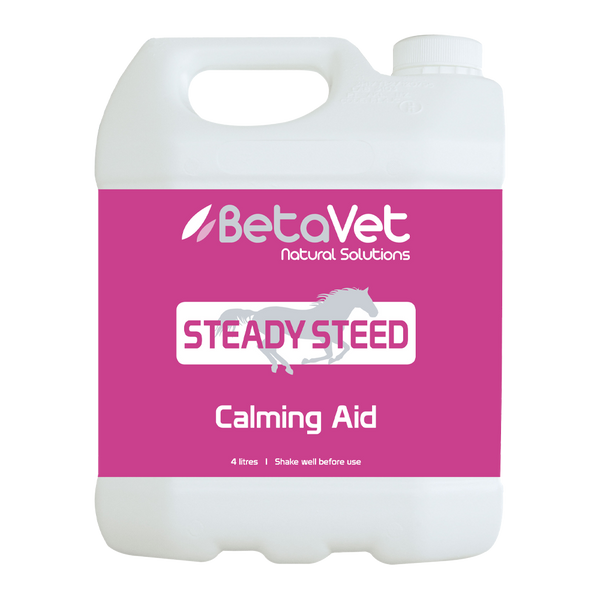 STEADY STEED