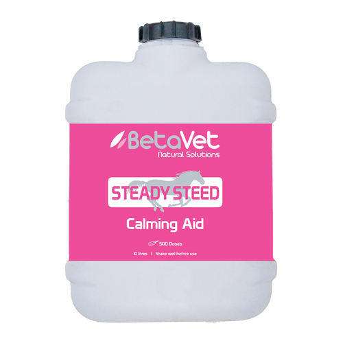 STEADY STEED